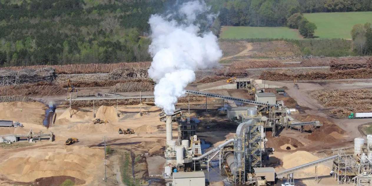 Biomass - FactsAndData.org